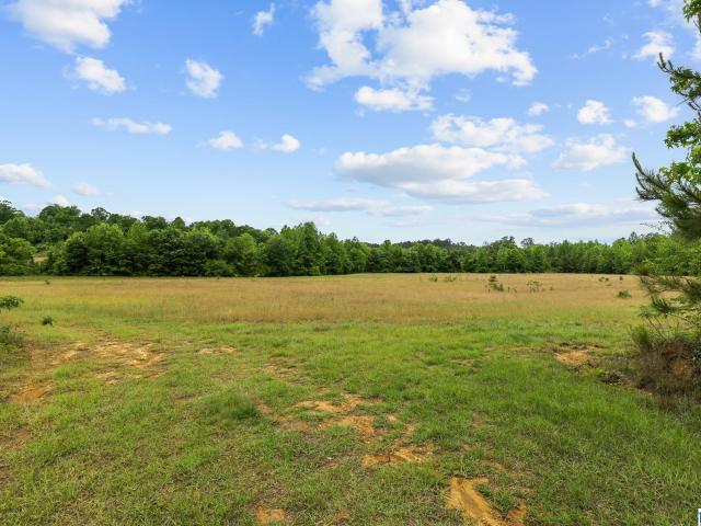 0 Hwy 91 # 107 acres