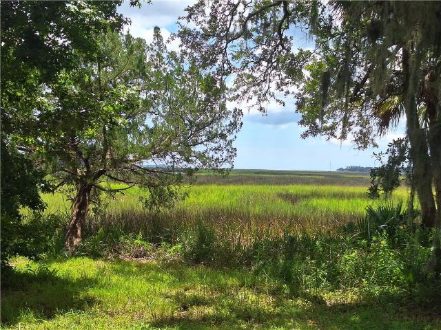 0 Hwy 99 Hwy, Darien, GA 31305 | MLS #1647