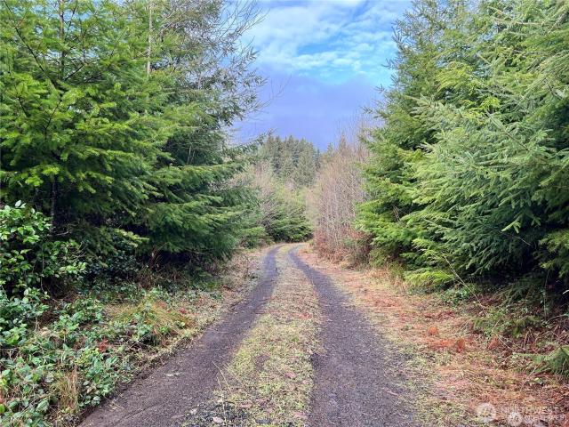 0 Hwy 101 Cosmopolis Wa 98537, Raymond, WA 98577 | MLS #2475 | Compass