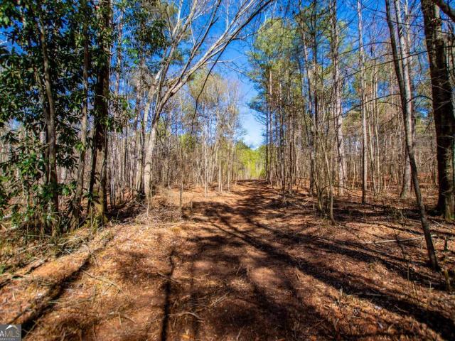 0 Hwy 166 E 21+ acres E