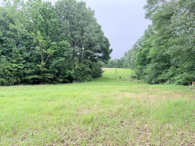 0 Hwy 18 Road, Utica, MS 39175