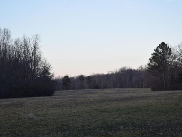 0 Hwy 193 Rd, Oakland, TN 38060 | MLS #10217