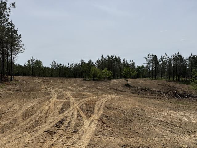 0 Hwy 231