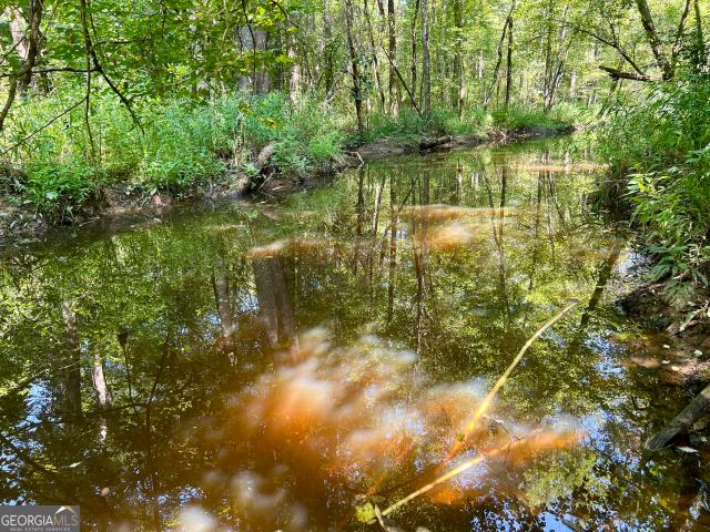 0 Hwy 247 Kathleen, GA 31047 | MLS #10588 | Compass
