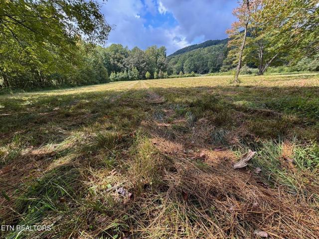0 Hwy 297, Pioneer, TN 37847