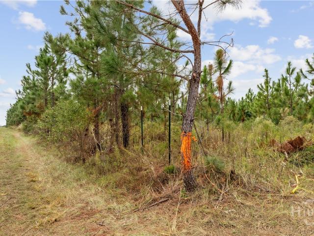 0 Hwy 297 tract 2 & 3