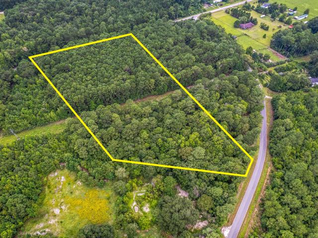 0 Hwy 35 Saint Stephen Sc 29479, St. Stephen, SC 29479 | MLS #25020