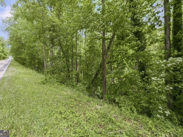 0 Habersham Mills Road