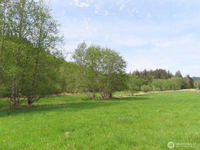 0 Hagen Rd, Mossyrock, WA 98645