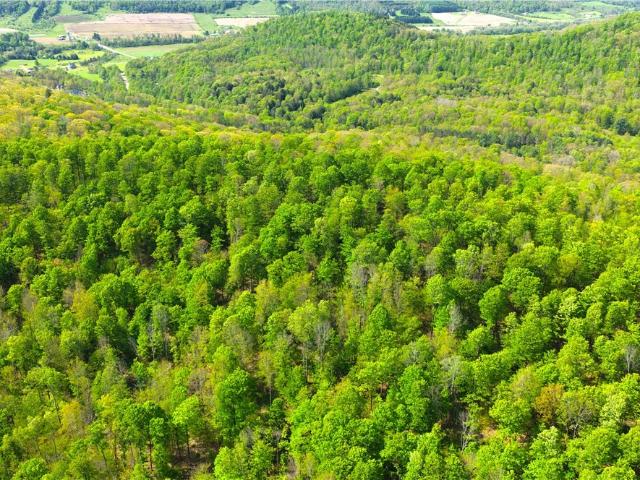 0 Haines Hollow Road