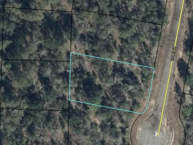 0 Hale Ct, Chipley, FL 32428 | MLS #782058