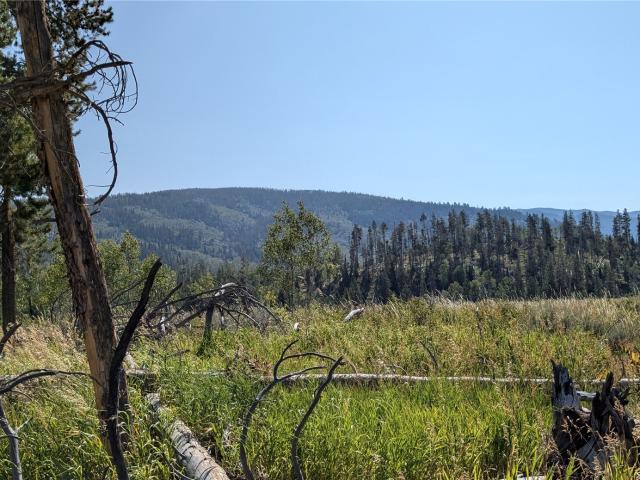0 Halter Trail, Oak Creek, CO 80467 | MLS #S1067