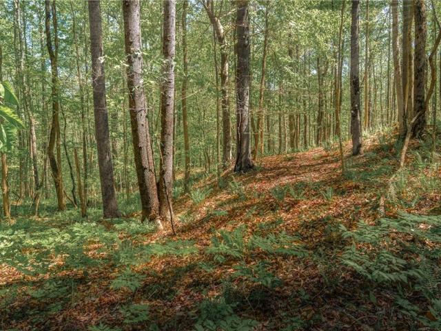 0 Hancock Mountain Trail, Waleska, GA 30183 | MLS #7755