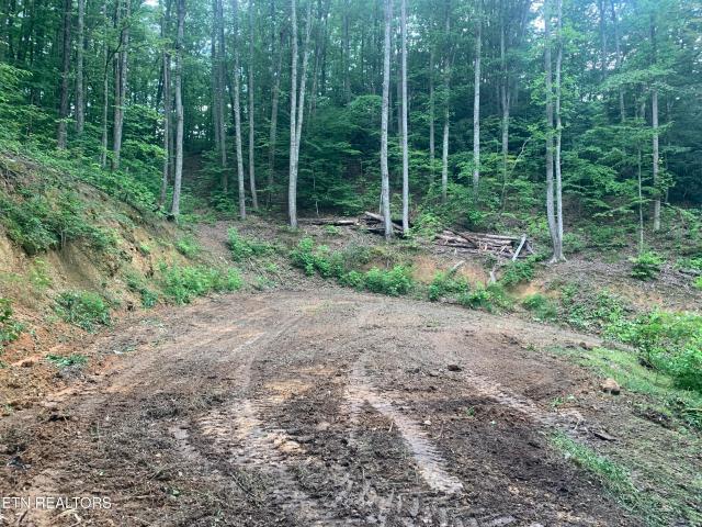 0 Happy Hollow Rd 0