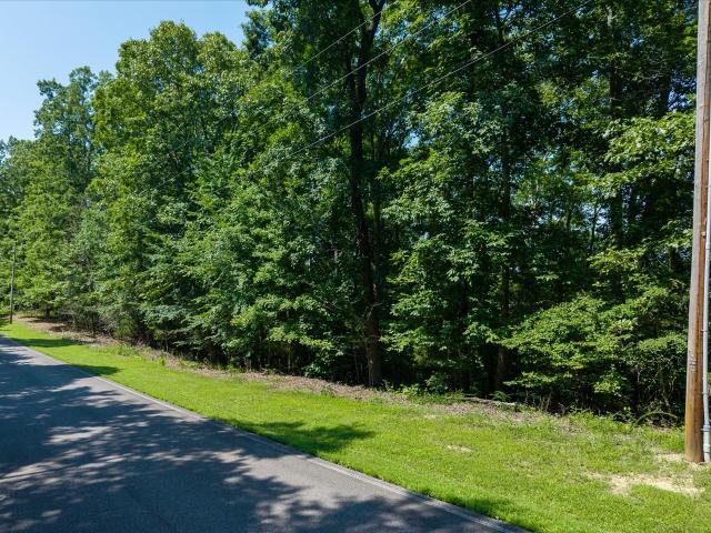 0 Harbor Greens Pl, Sparta, TN 38583 | MLS #2958