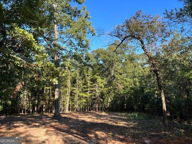 0 Harbor Point, Unit LOT 3, Hartwell, GA 30643
