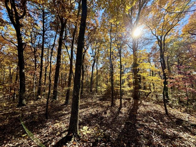 0 Harrison Ferry Rd, McMinnville, TN 37110 | MLS #3205 | Compass