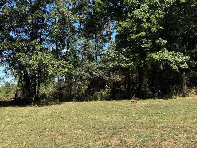 0 Harrison St, Paris, TN 38242 | MLS #2504