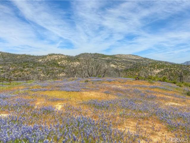0 Harrison Springs, Berry Creek, CA 95916 | MLS #SN25233