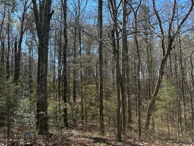 0 Harts Mill Road