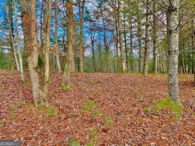 0 Hawks Vw, Morganton, GA 30560 MLS 10438381
