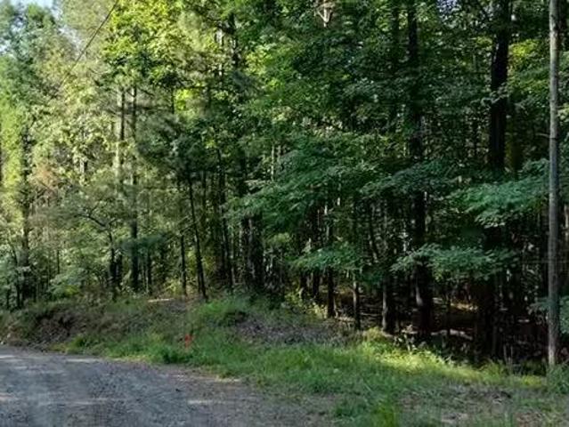 0 Hawthorne Hill Rd, Jasper, GA 30143 MLS 7404762