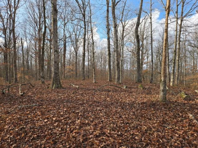 0 Havenwood Rd