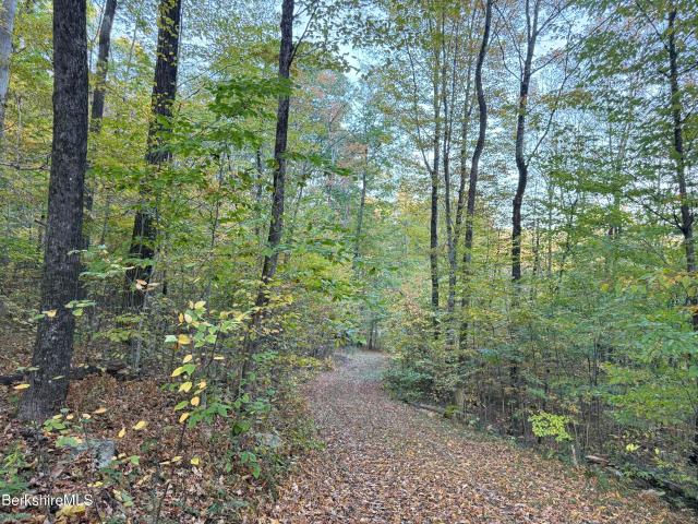 0 Hayes Hill Rd, Mill River, MA 01244 | MLS #247870