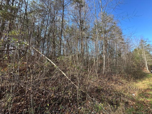 0 Hemlock Subdivision Road