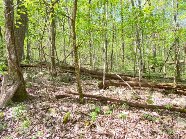 0 Hensley Hollow Road