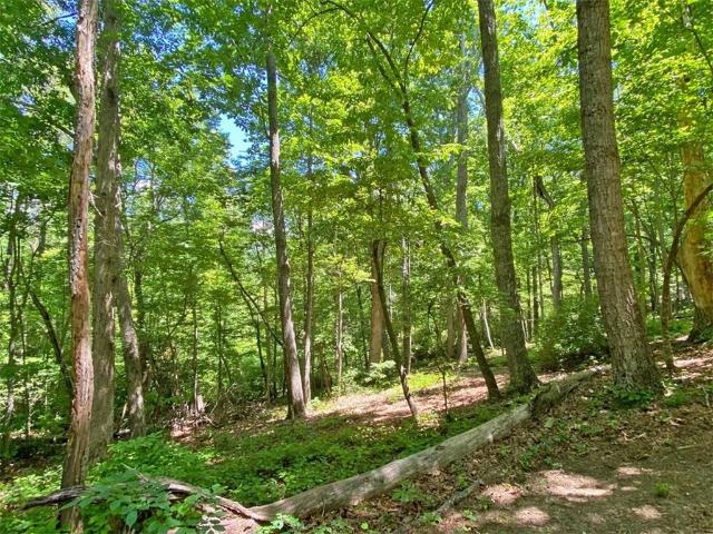 0 Hickory Nut Trail