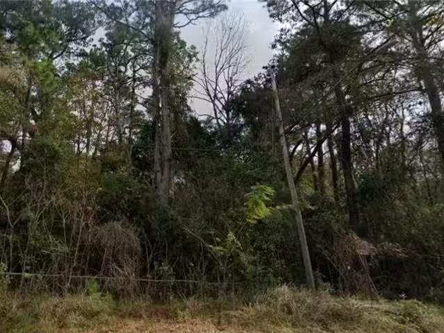 0 HIGGINS ROAD, SATSUMA, AL 36572 Single Family Residence For.