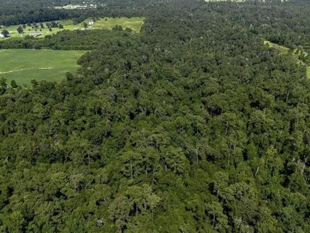 0 Highway 109, Vinton, LA 70668