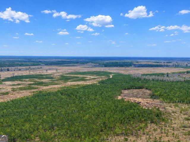 0 Highway 121 Glennville, GA 30427 | MLS #10693