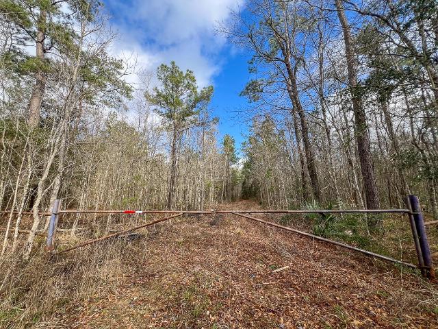 0 Highway 12/ Linscomb Rd, Vidor, TX 77662 | MLS #24059