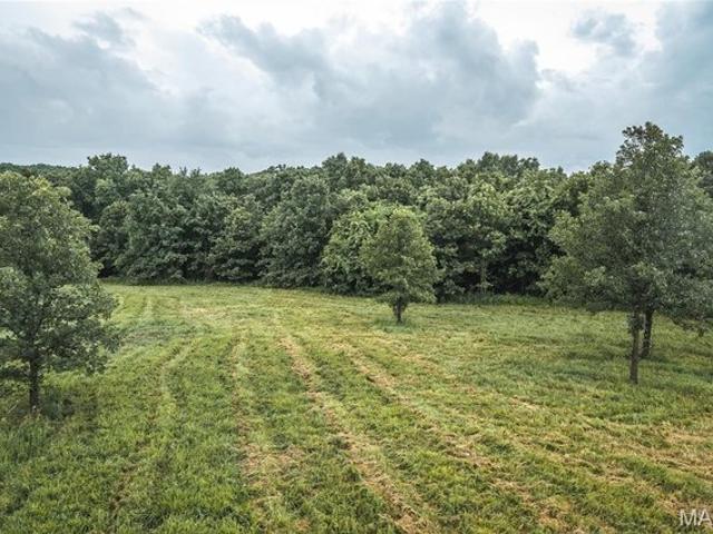 0 Highway 19 Lot 4, Salem, MO 65560