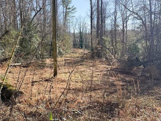 0 Highway 19 N, Dahlonega, GA 30533 | MLS #7702