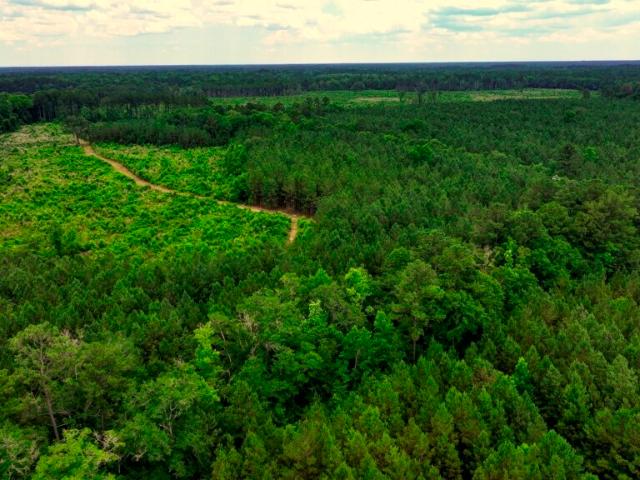 0 Highway 204 & Carlos Cowart Road