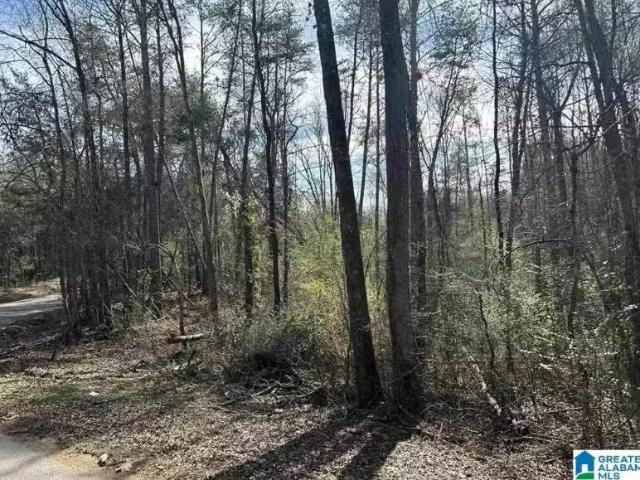0 HIGHWAY 315 # 1, COLUMBIANA, AL 35051 Vacant Land For Sale.