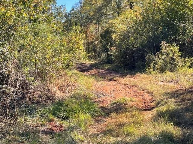 0 Highway 36 E, Jackson, GA 30233 | MLS #10795