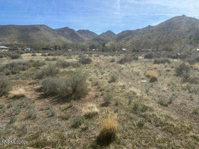 0 Highway 395, Coleville, CA 96107 | MLS #260003