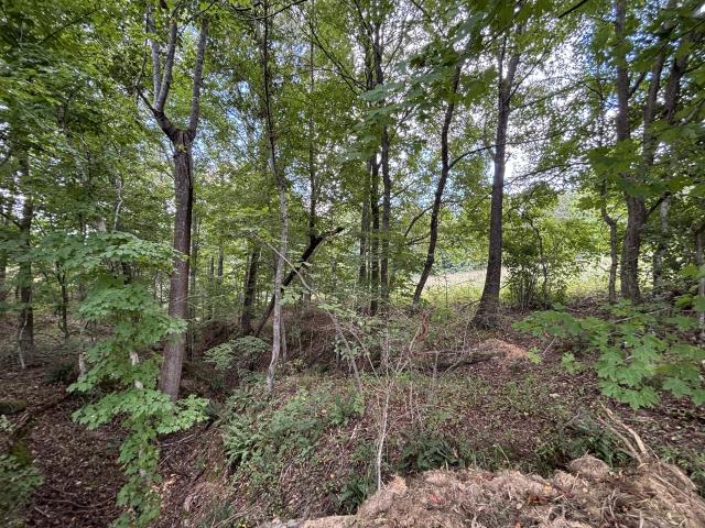 0 Highway 7 lot 25