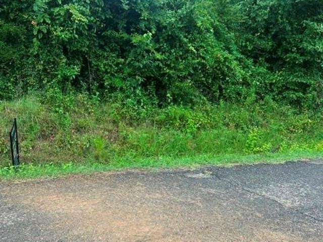0 Highway 539 Mansfield La, Converse, LA 71419 | MLS #20738
