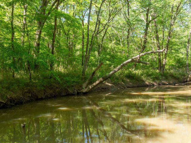 0 Highway 54 & Bear Creek Road 120.92+/ acres