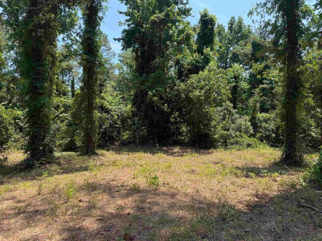 0 Highway 57 Hwy, Michie, TN 38357 | MLS #10195