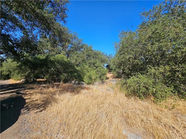 0 Highway 76, Pauma Valley, CA 92061 | MLS #OC25186
