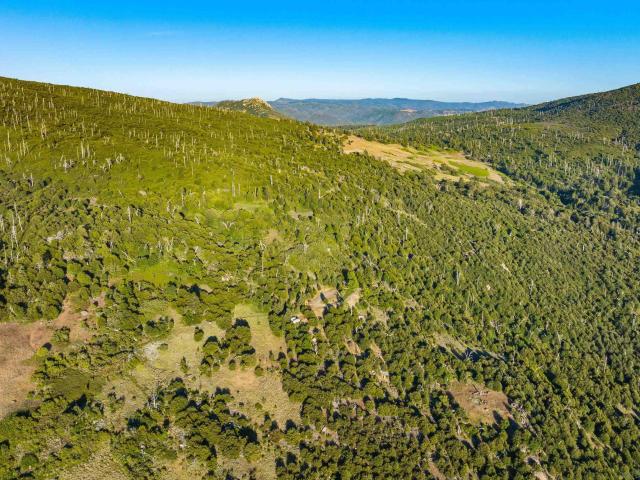 0 Highway 79, Julian, CA 92036 | MLS #260013 SD