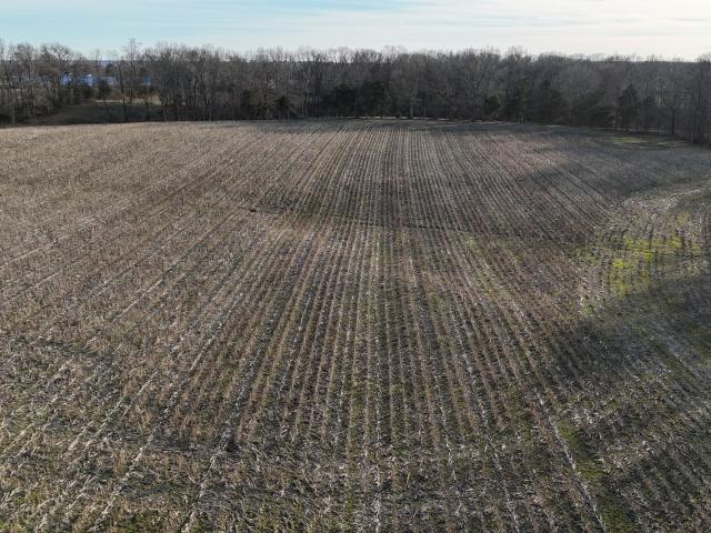0 Highway 79 Mc Kenzie Tn 38201, McKenzie, TN 38201 | MLS #3134 | Compass