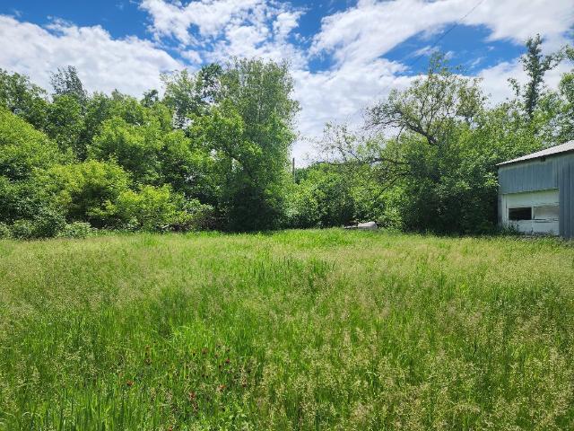 0 Highway P Clinton Almena, WI 54805 | MLS #6763