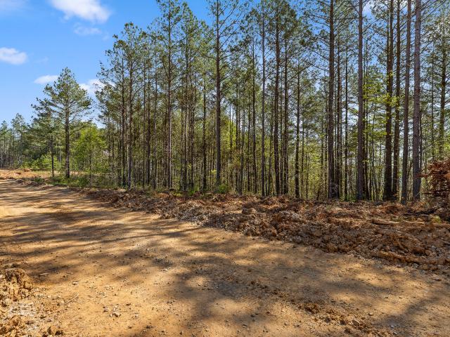 0 High Ground Lot 2233 Road